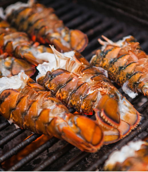 Quelle est la saison des langoustes ? • L'Accostage