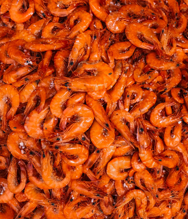 Pourquoi les crevettes sont roses après cuisson ? - L'Accostage